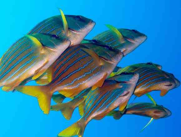 Vacation Rentals Cabo - Property Management - Casago